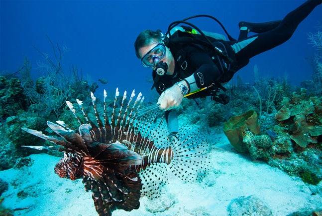 Guy Harvey Outpost Resorts St Augustine - Operation Lionfish